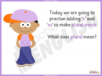 Adding s and es to Make Plural Words - Year 1 teaching resources lesson