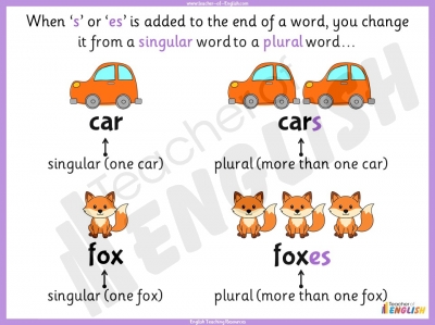 Adding s and es to Make Plural Words - Year 1 teaching resources lesson
