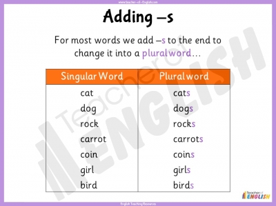Adding s and es to Make Plural Words - Year 1 teaching resources lesson