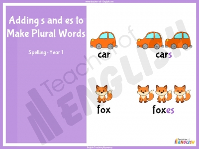 Adding s and es to Make Plural Words - Year 1 teaching resources lesson