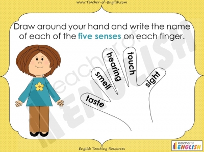 Concrete Nouns teaching resources lessons