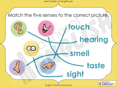 Concrete Nouns teaching resources lessons