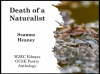 Death of a Naturalist teaching resources lessons