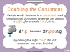 Doubling the Consonant teaching resources lessons