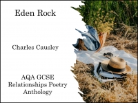 AQA GCSE English Anthology - Love and Relationships Poetry teaching ...