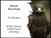 Hawk Roosting teaching resources lessons