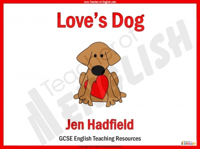 Love's Dog teaching resources lessons