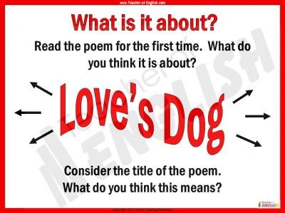 Love's Dog teaching resources lessons