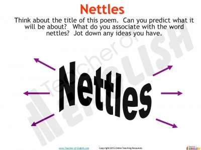 Nettles teaching resources lessons