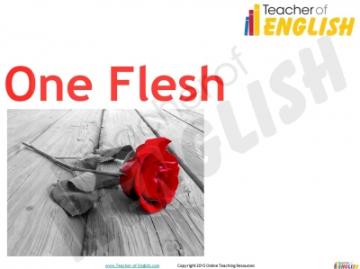 One Flesh (Jennings) teaching resources lessons