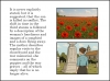 Poppies by Jane Weir teaching resources lessons