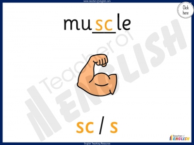 The s Sound Spelt sc - Years 3 and 4 teaching resources lesson